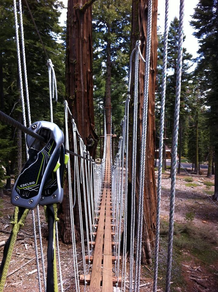 Tahoe Treetop Adventure Park | Tahoe Rental Company