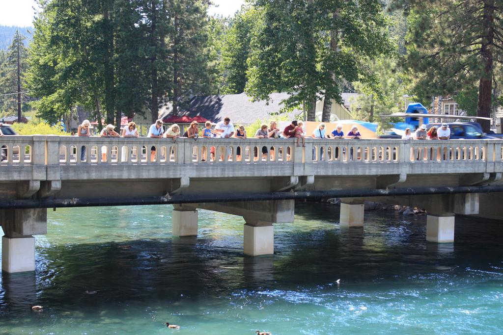 Fanny Bridge | Tahoe Rental Company